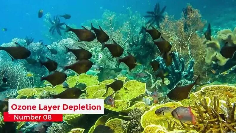 Top 10 Major Global Environmental Issues In The World - List Of Global ...