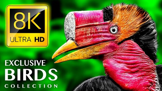 8k resimler: 2 bin video Yandex'te bulundu