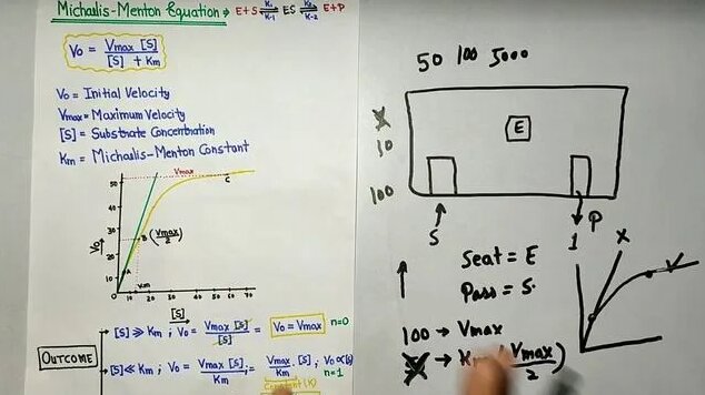 Enzyme Kinetics (Michaelis Menten Kinetics) (Michaelis Menten Equation ...
