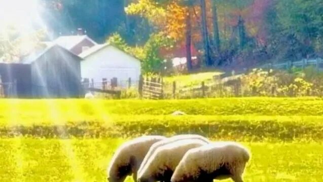 Easter Song - Keith Green - Смотреть онлайн в поиске Яндекса по Видео