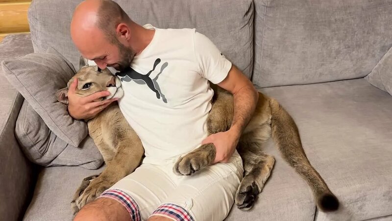 Кто успел, того и диван! Месси отбивался как мог, но увы— Видео от i_am ...