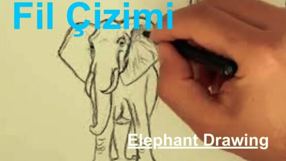 fil olayı çizimi: 941 video Yandex'te bulundu