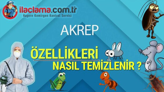 akrep çizimi: 943 video Yandex'te bulundu