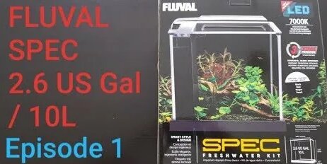 Fluval SPEC 10litre Aquarium setup and review - Episode 1 - Yandex ...