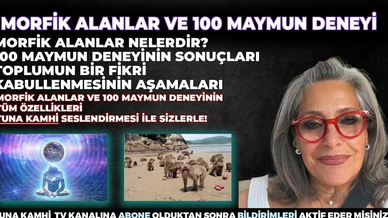 Morfik Alanlar ve 100. Maymun Deneyi | Tuna Kamhi - Yandex Video ...