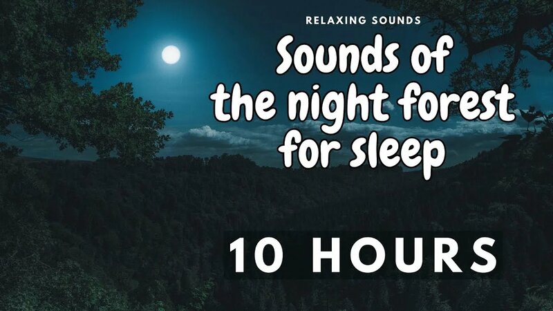 Relaxing Sounds - Sounds of the night forest 10 Hours - Звуки ночного ...