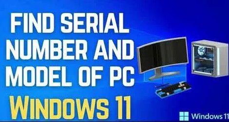 How to Find Serial Number and Model of Your PC in Windows 11 | find ...
