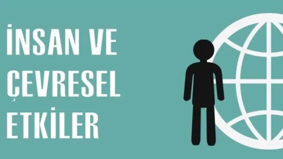 insan ve çevre: 1 bin video Yandex'te bulundu