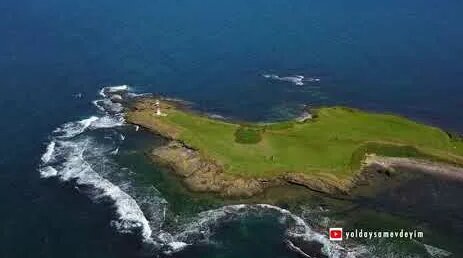 ordu yason burnu: 657 video Yandex'te bulundu