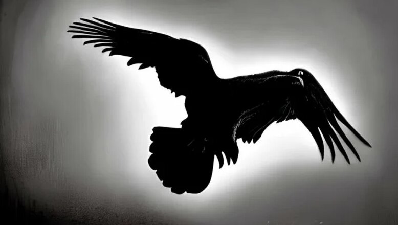 Tiefbasskommando – Rabenvater(Districtred RMX-slowed) — Видео от Bael ...