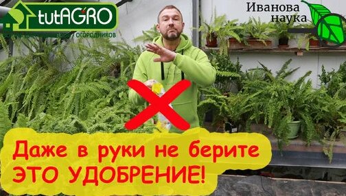 СТОП! Никогда не используйте ЭТО удобрение для Рассады и Подкормок ...
