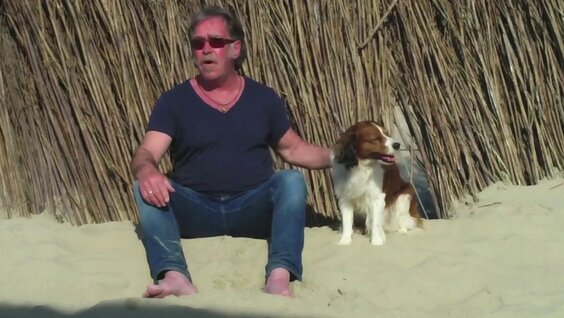 Joe Gerhardt: 844 video Yandex'te bulundu