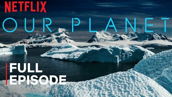 netflix en iyi belgeseller imdb: 830 video Yandex'te bulundu