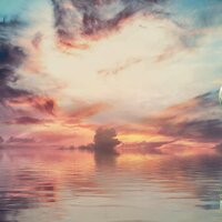 Хрупкие люди. Тайная дверь в мир нарциссов Юлия Пирумова — читать книгу ...