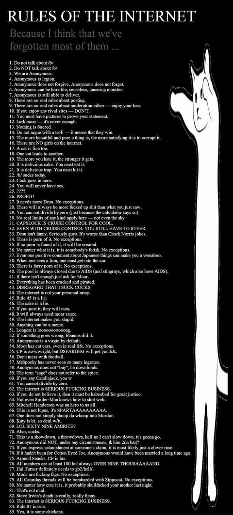 «Правда ли, что существуют «правила интернета»? Какие они?» — Яндекс Кью