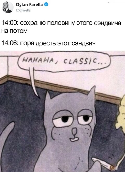 «В чем смысл мема с котом Haha, classic и откуда вообще эта картинка ...