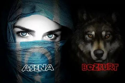 asenalar ve bozkurtlar: Yandex Görsel'de 1 bin görsel bulundu