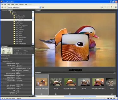 adobe bridge: Yandex Görsel'de 2 bin görsel bulundu