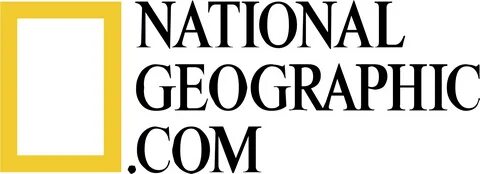 national geographic logo: Yandex Görsel'de 2 bin görsel bulundu