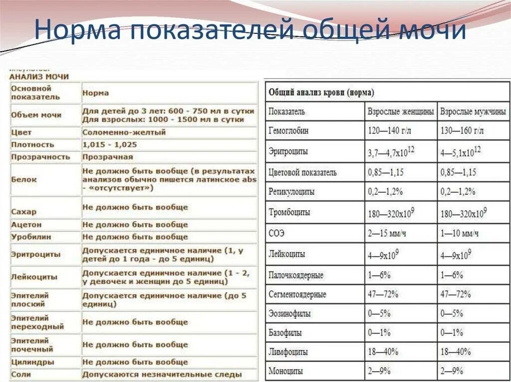 Норма мочи таблица Telegraph