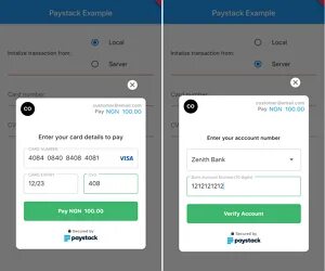 Flutter Credit Card Widget - FlutterCore - EroFound