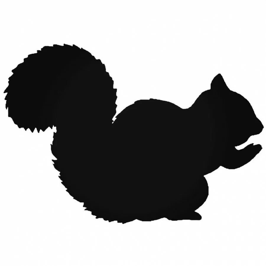 Белка трафарет (Много фото) - drawpics.ru
