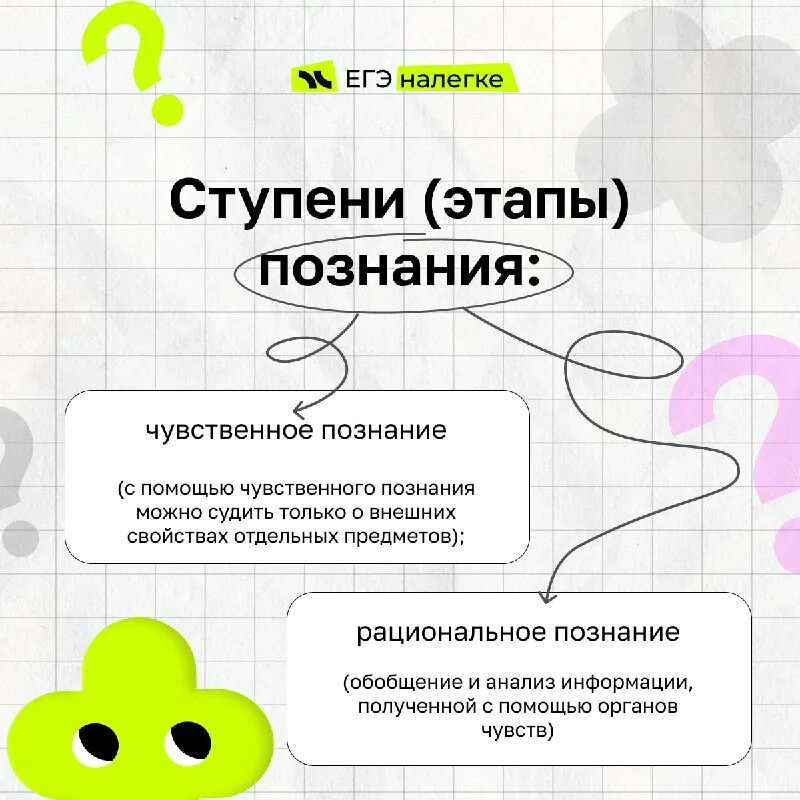 Егэ по обществознанию 2024 книга