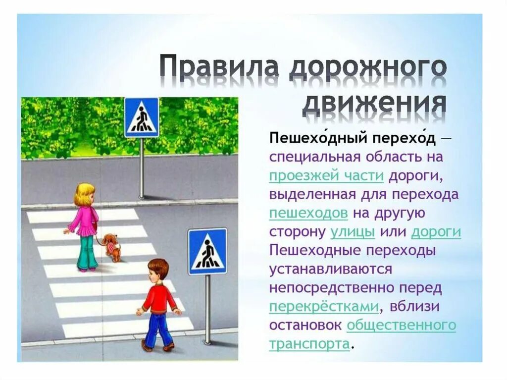 Правило дорога движения пдд Telegraph