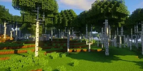 dynamic trees minecraft: Yandex Görsel'de 1 bin görsel bulundu