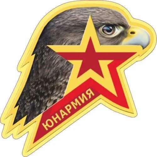 Эмблемы треков орлята россии