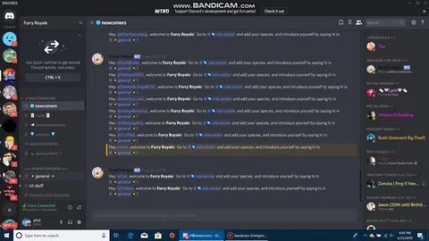 discord sistem +gereksinimleri: Yandex Görsel'de 1 bin görsel bulundu