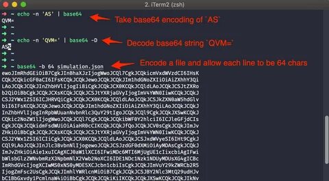 Israbi Base64 Encoded Image Python