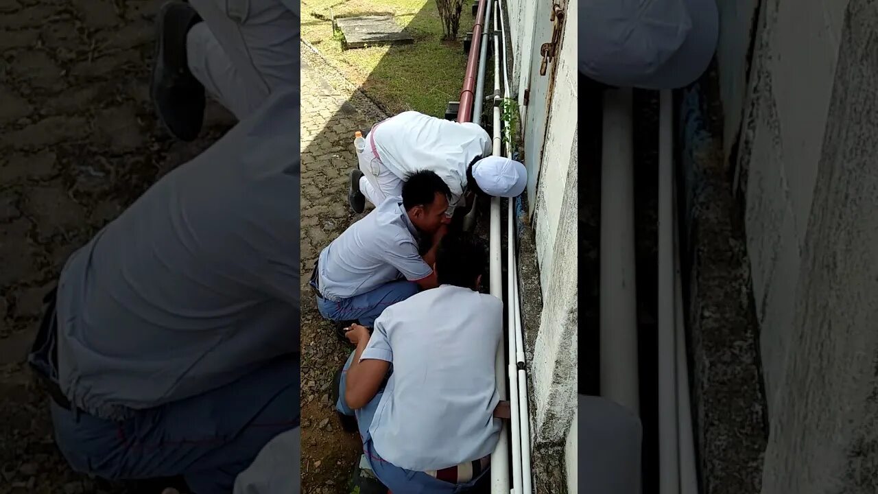 Indo viral live terbaru abg 2022