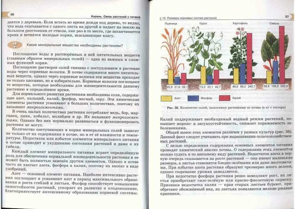 Биология 6 класс учебник трайтак