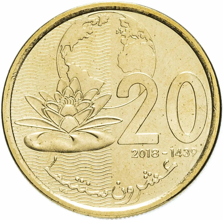 Марокко 20 – Telegraph