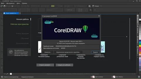 coreldraw 2022 portable torrent: Yandex Görsel'de 945 görsel bulundu