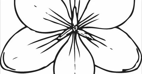 çiğdem çiçeği vektör: Yandex Görsel'de 1 bin görsel bulundu