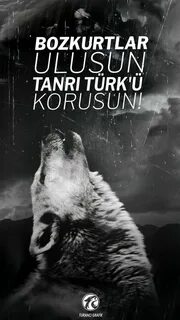 bozkurtlar ulusun tanrı türkü korusun id roblox: Yandex Görsel'de 816 görsel bulundu