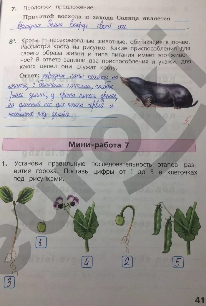 Впр окружающий мир 4 класс Pdf