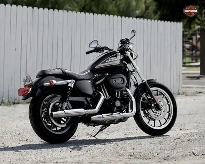 harley davidson sportster 883r: Yandex Görsel'de 1 bin görsel bulundu