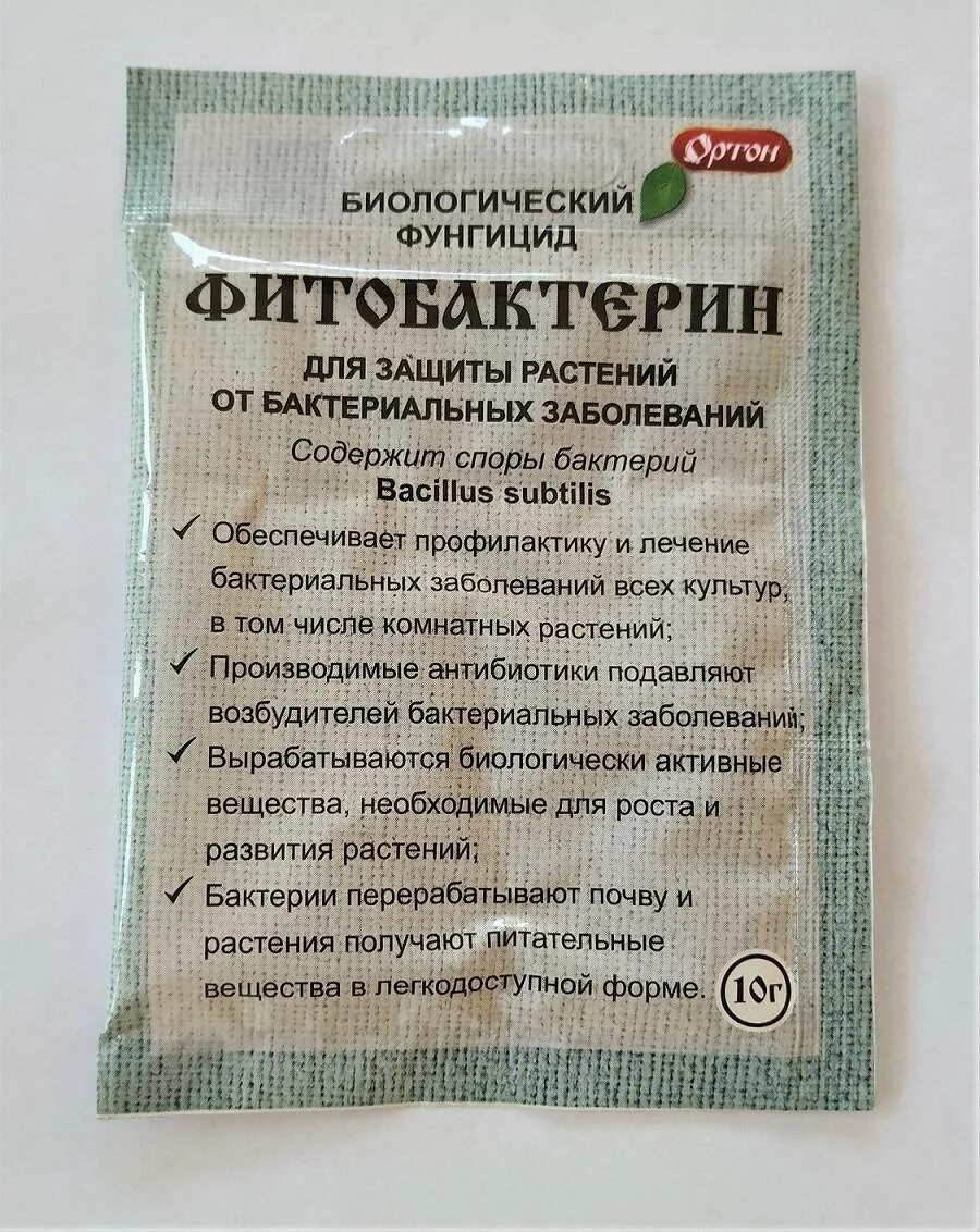 Фунгицид это что такое простыми – Telegraph