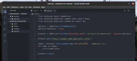 how to install chromedriver.exe in kaggle viewer: Yandex Görsel'de 1 ...
