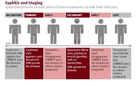 Syphilis Flow Chart - EroFound