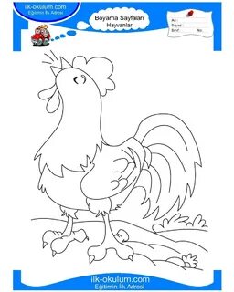horoz boyama sayfası= okulA*öncesi: Yandex Görsel'de 911 görsel bulundu