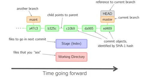 Intro to Git and GitHub - Computation Lab - EroFound