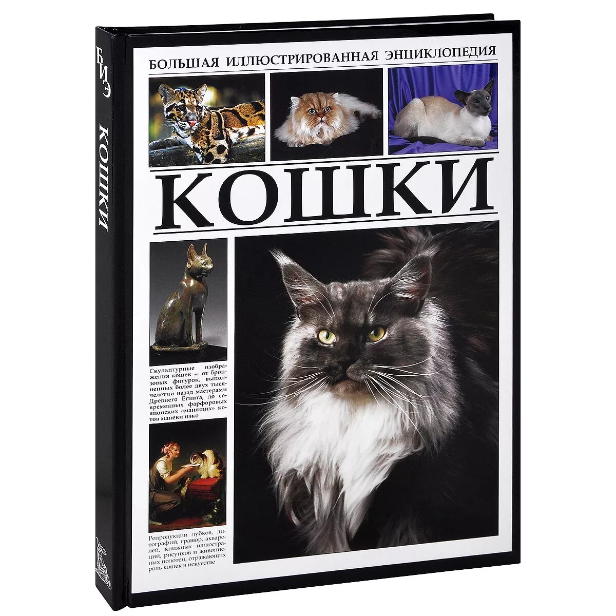 Большая энциклопедия кошки – Telegraph