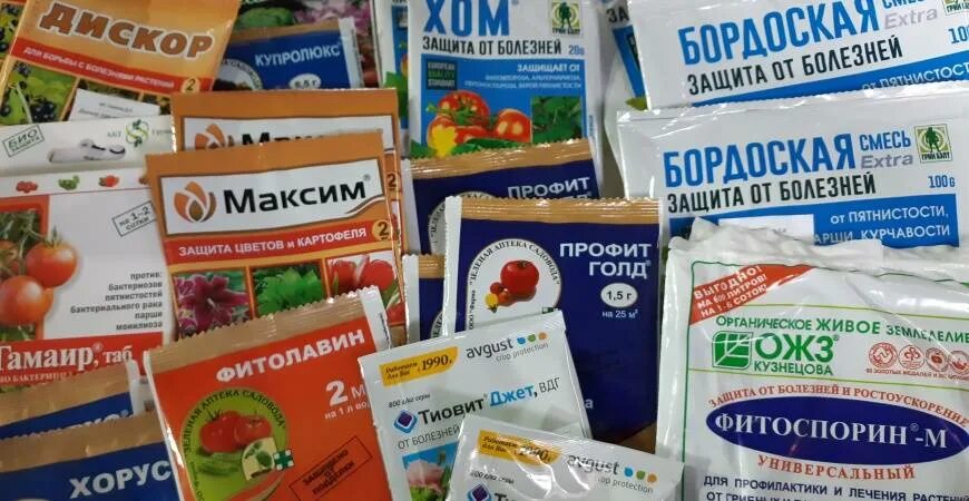 Фунгициды список препаратов – Telegraph