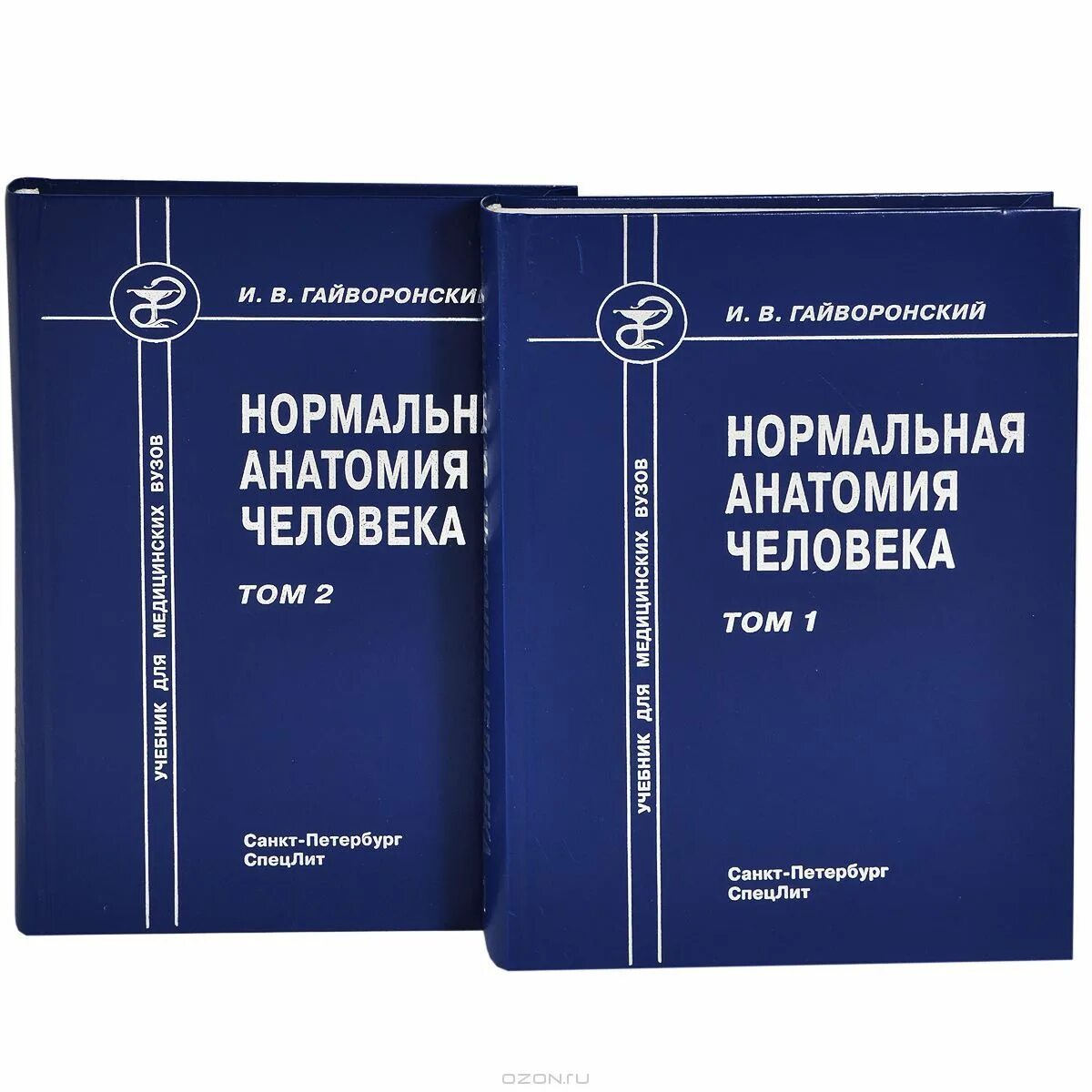 Анатомия университет – Telegraph